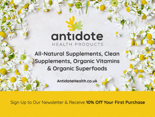 The Year Ahead 2026 Astrological Wall Calendar by Susan Miller